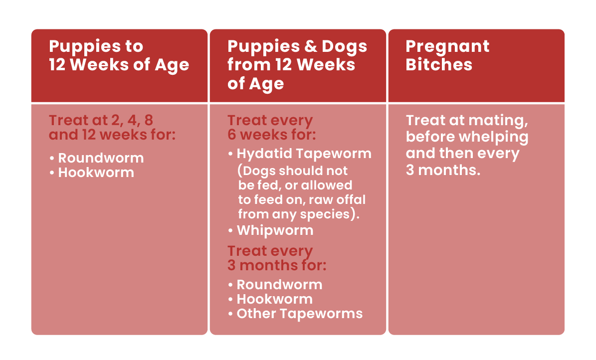 Exelpet™ Ezy-Dose™ Intestinal All-Wormer for All Dogs